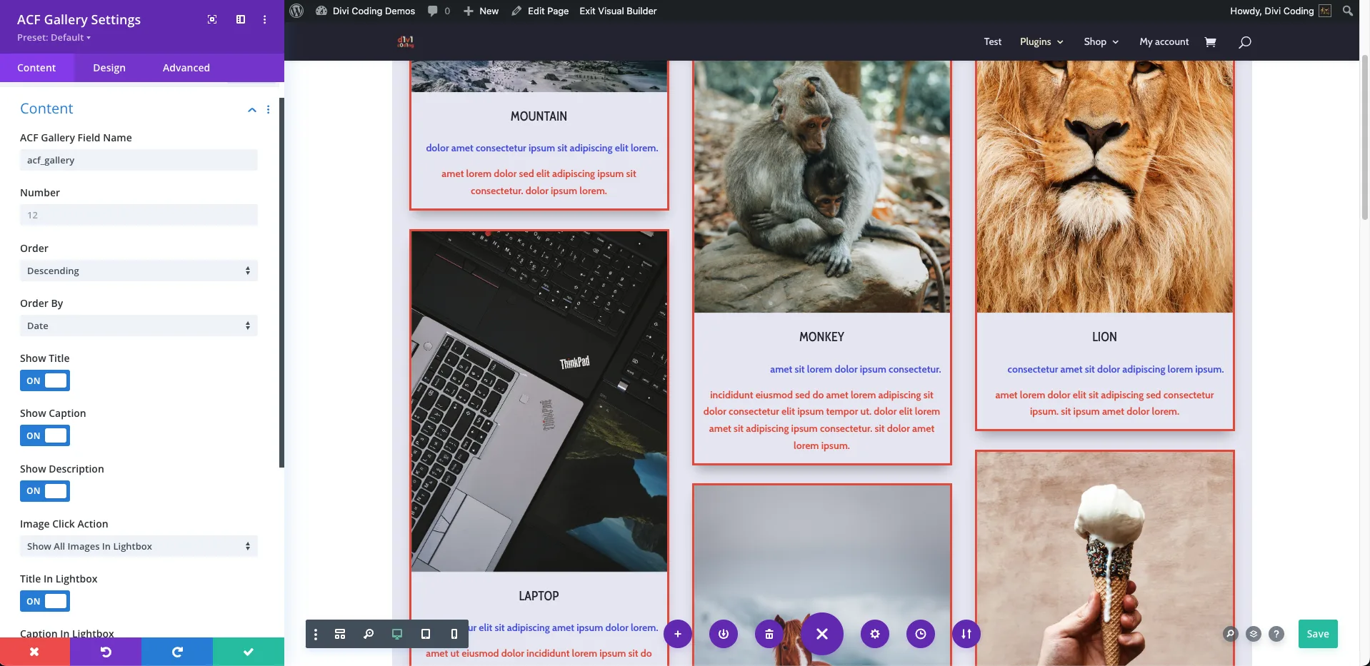 Divi ACF Gallery - Divi Coding Store