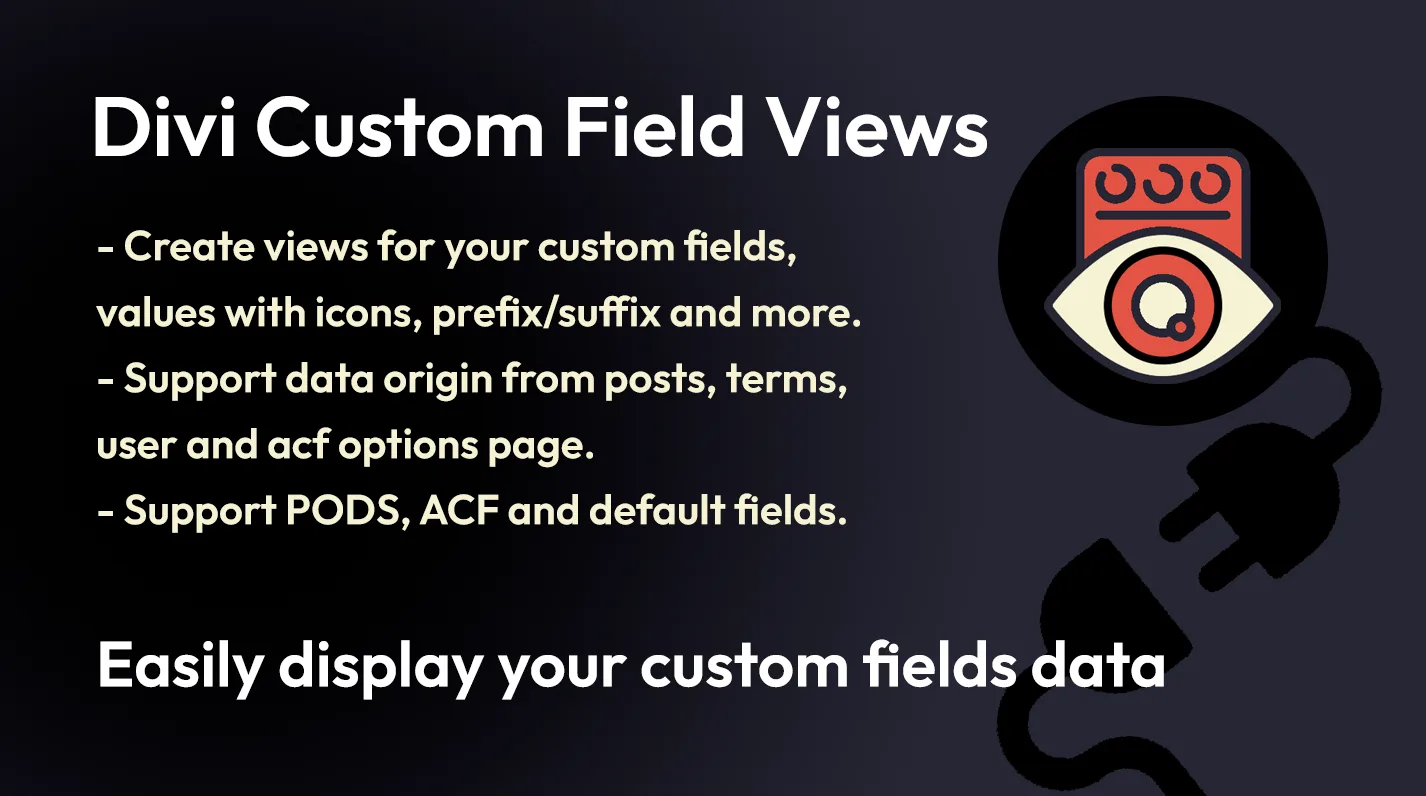 Divi Custom Field Views - Divi Coding Store